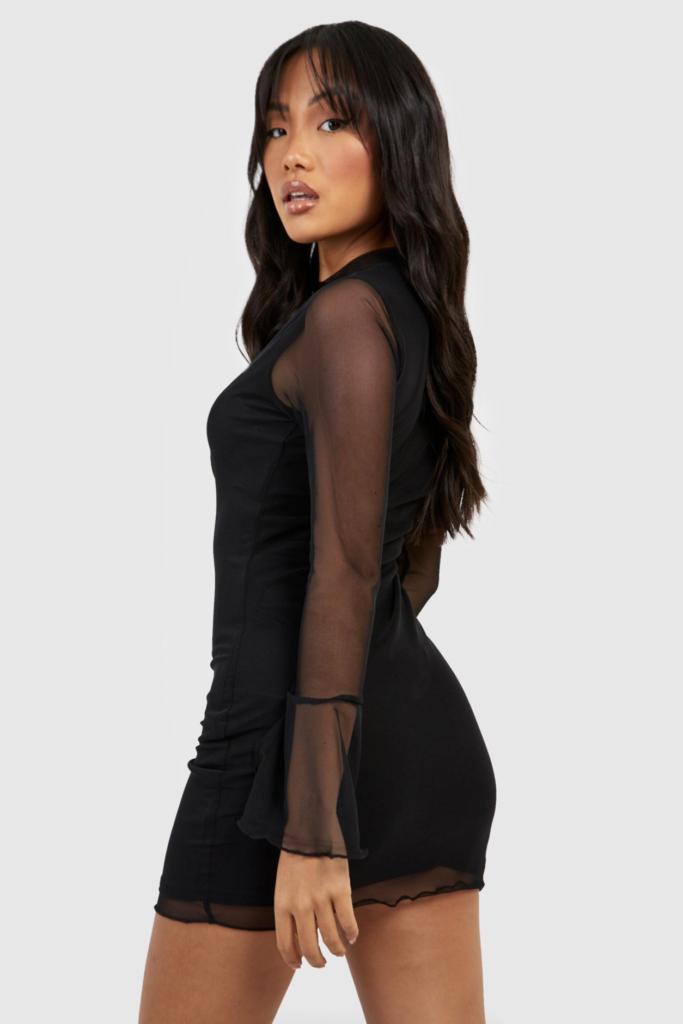 Bri Black Mesh Mini Bodycon Dress – LA CHIC PICK